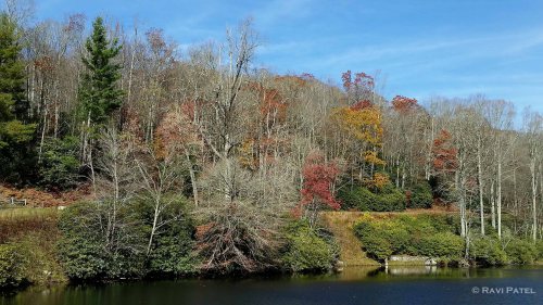 Ending of Fall - Photos by Ravi