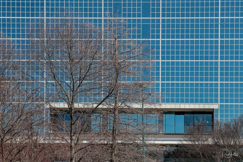 Natural Asymmetry Against Human Symmetry - Photos by Ravi