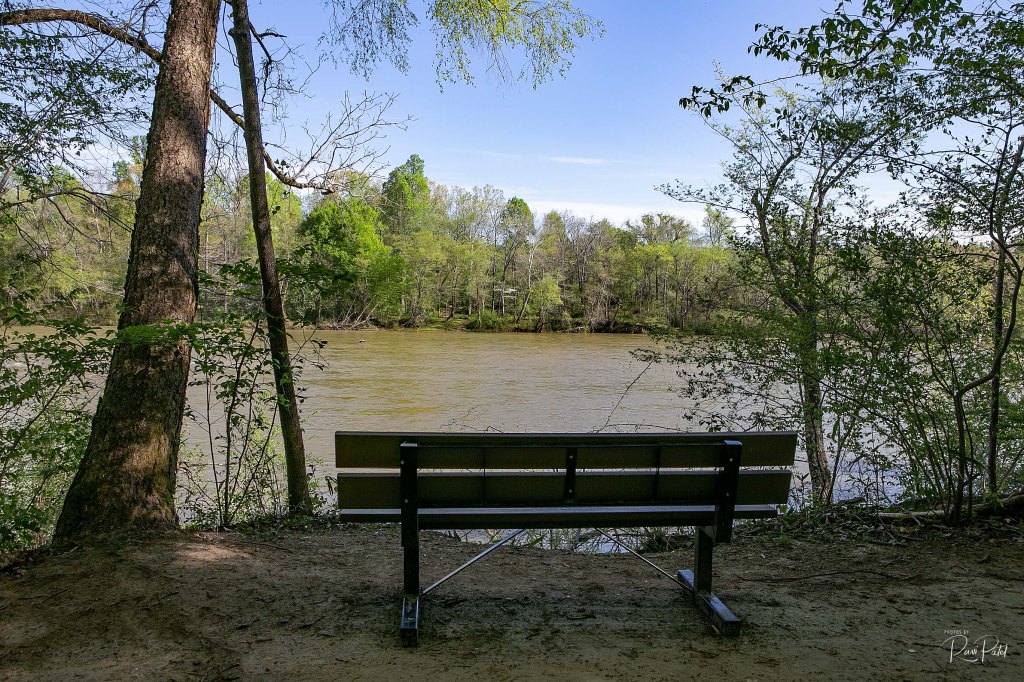 A Bench on the River - Photos by Ravi