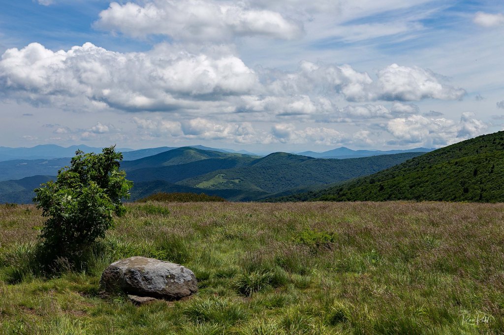 Natural Object Placements in a Landscape Composition - Photos by Ravi