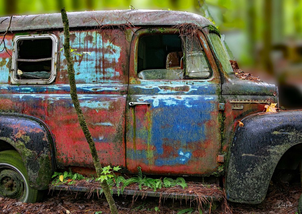 Old Car City - Naturally Aging Artwork - Photos by Ravi