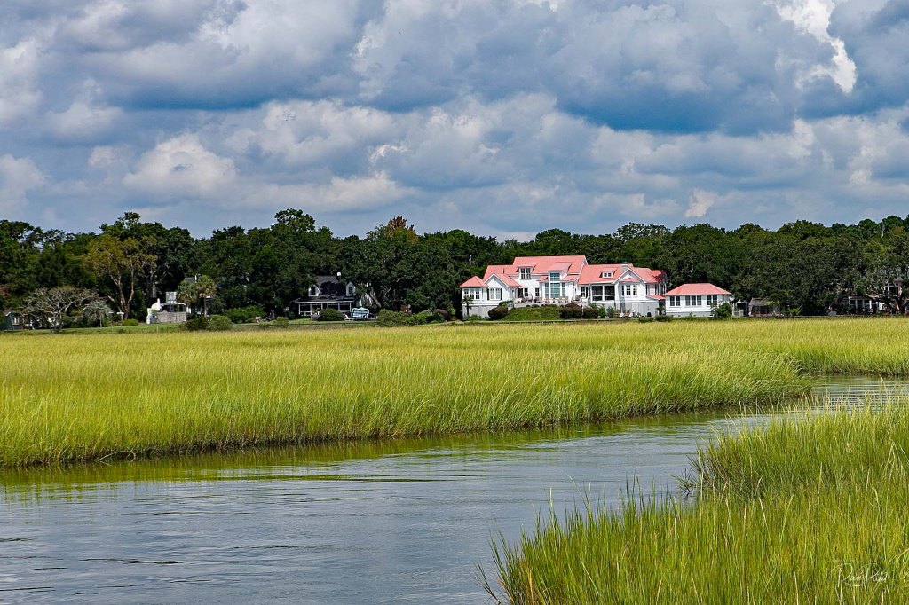 Adding Color to the Marsh - Photos by Ravi