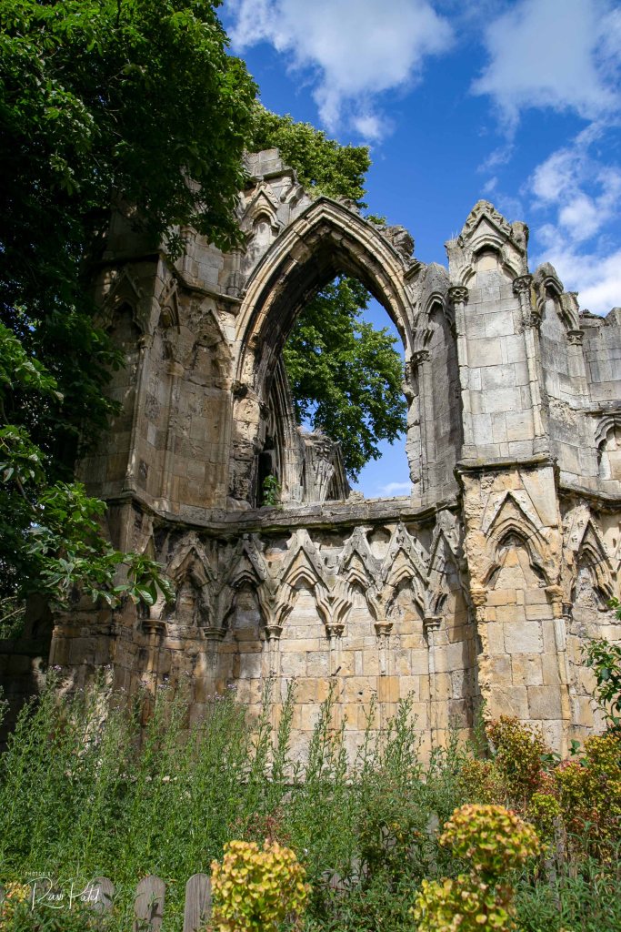 St Mary’s Abbey Wall Ruins - Photos by Ravi