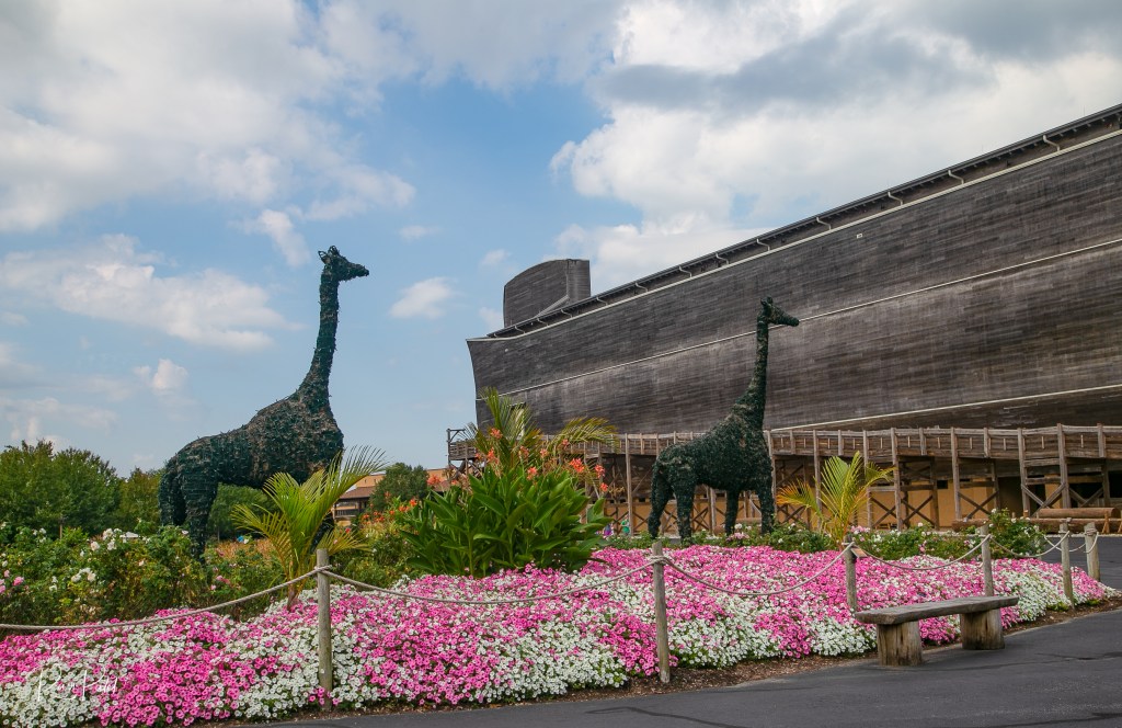 Animals Gazing at the ARK - Photos by Ravi