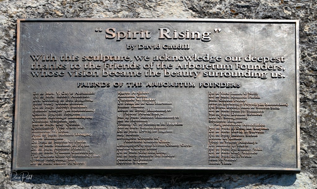 Spirit Rising - Photos by Ravi