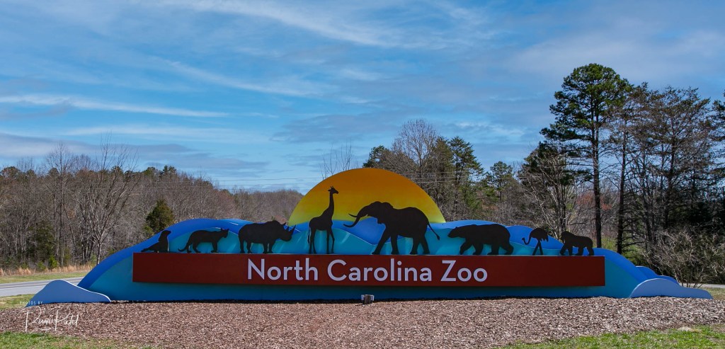 North Carolina Zoo Visit - Photos by Ravi