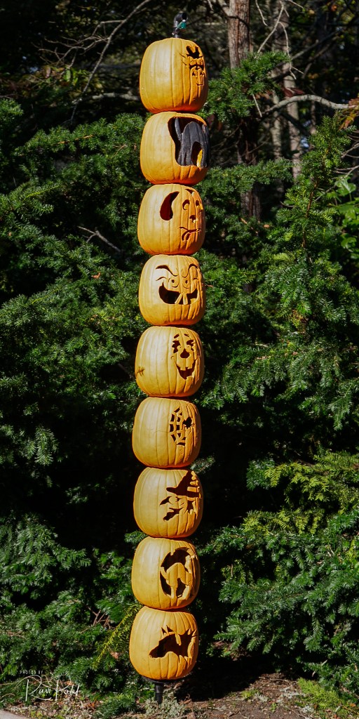 Pumpkin Totem Pole - Photos by Ravi