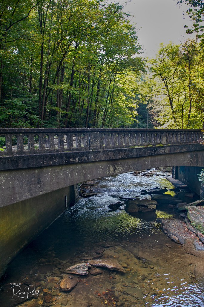 Water under the Bridge - Photos by Ravi