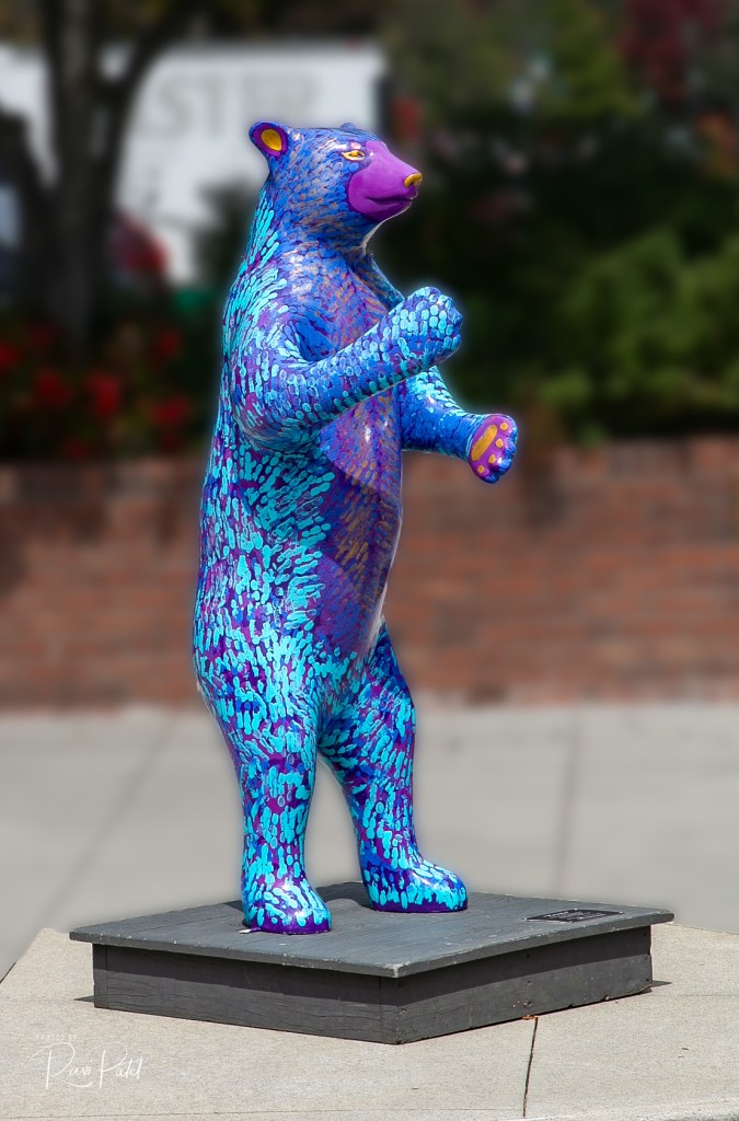 Standing Bears - Photos by Ravi