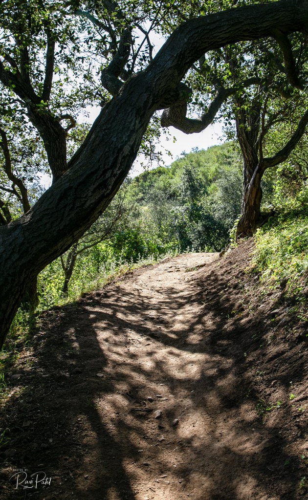 Santiago Oaks Regional Park - Photos by Ravi